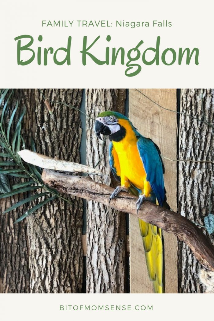 Family Travel: Bird Kingdom in Niagara Falls, Ontario